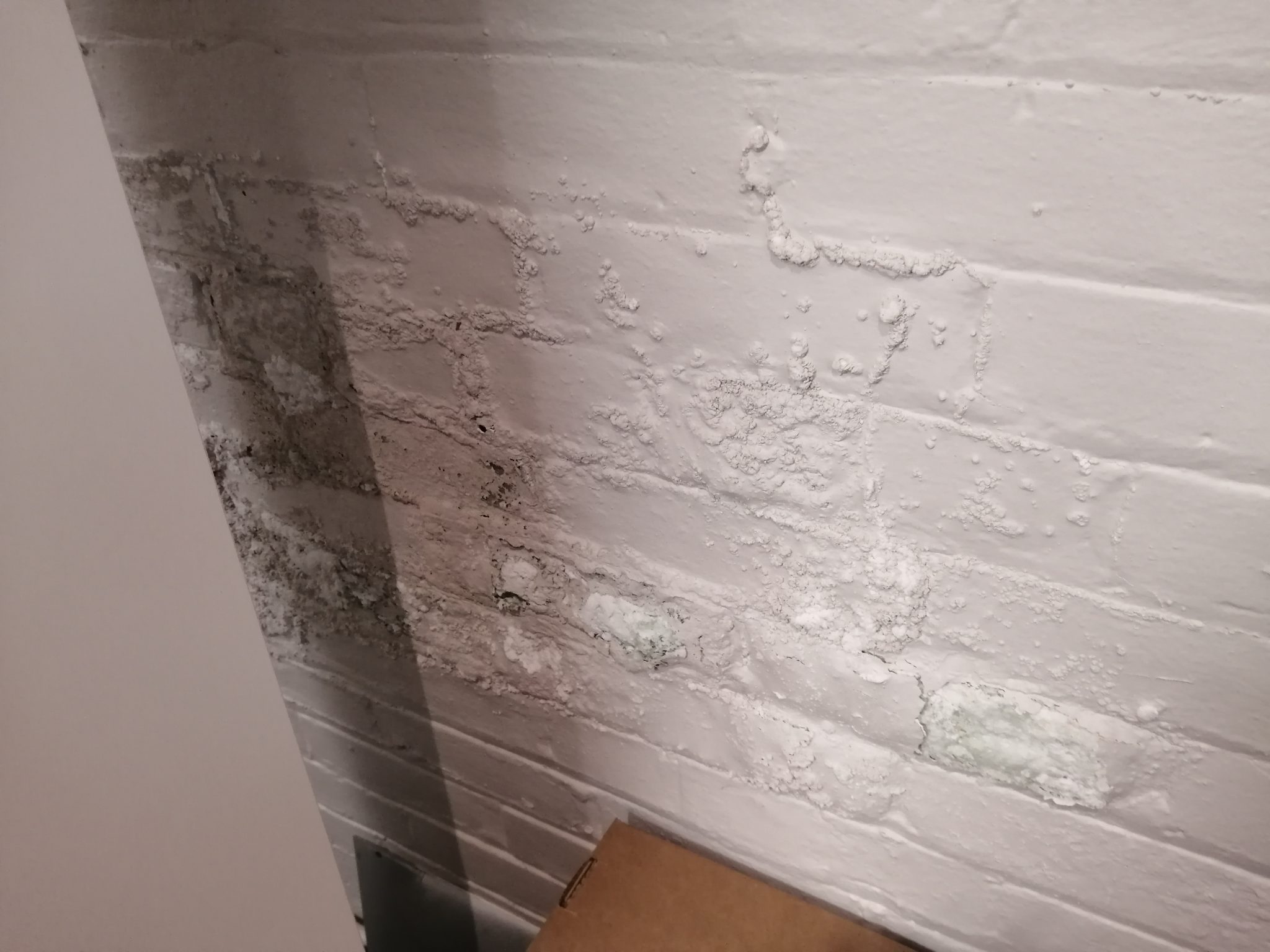 Efflorescence - Environmental Health & Safety